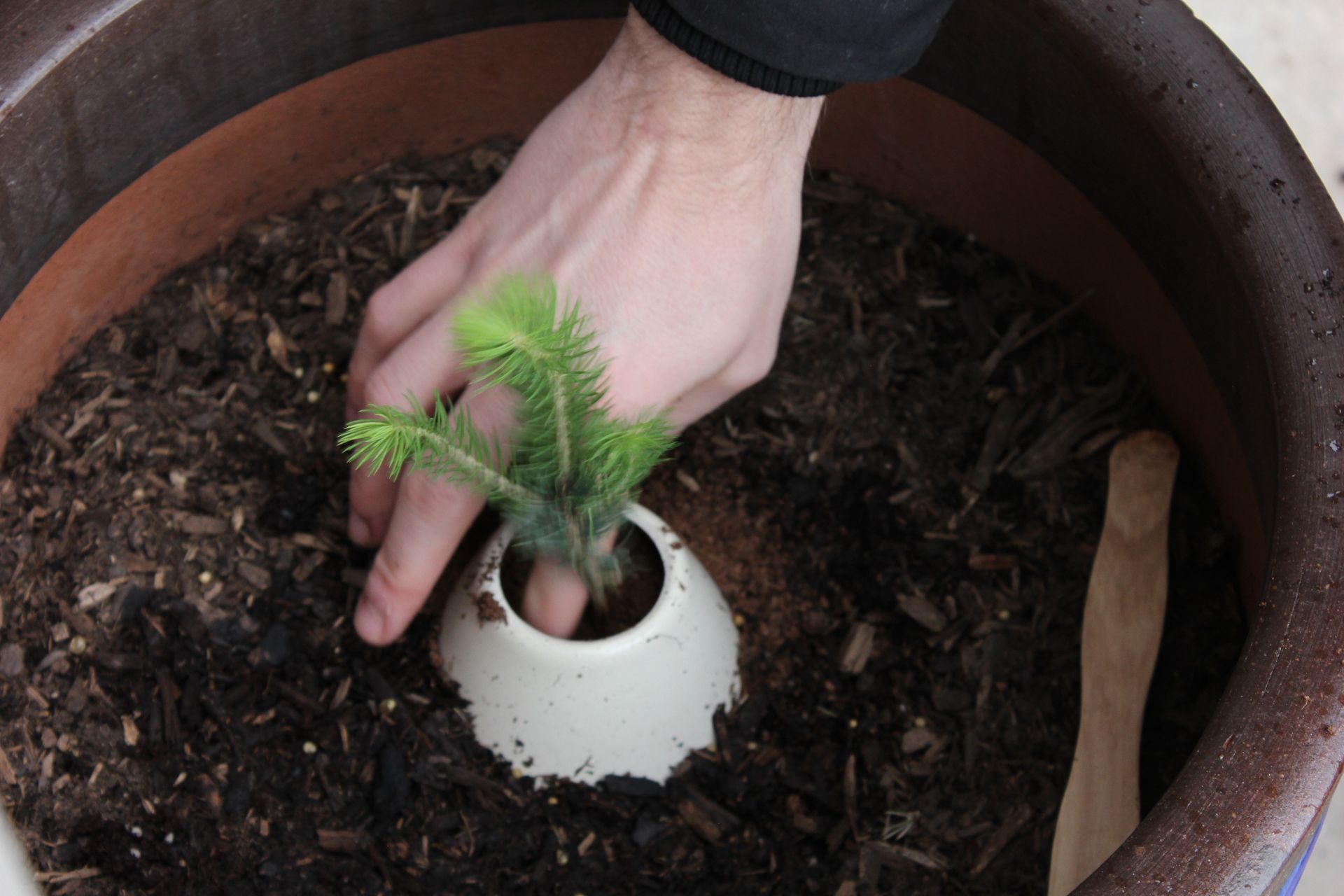 Biodegradable Burial Pod | Passages International