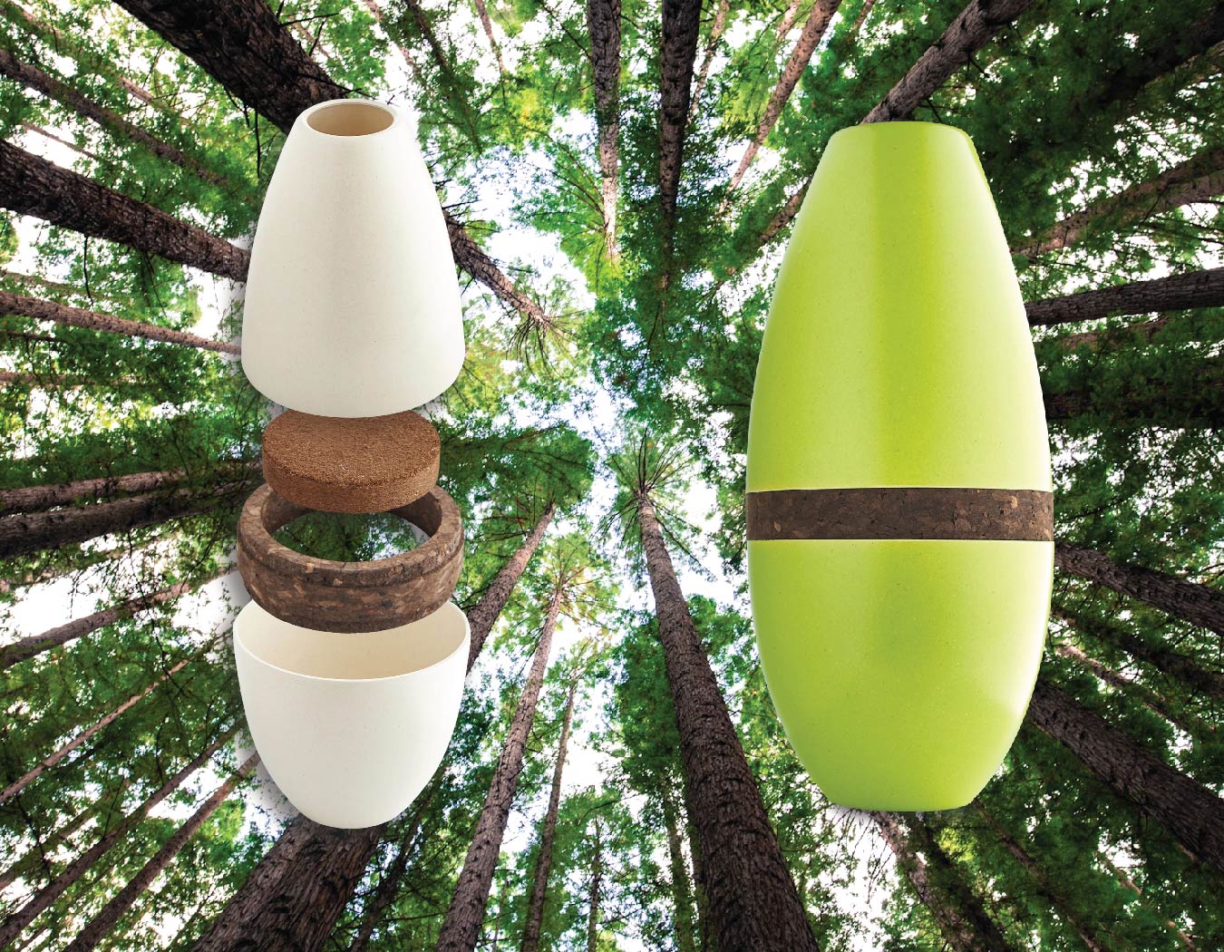 Tree Urn for Ashes | Passages International