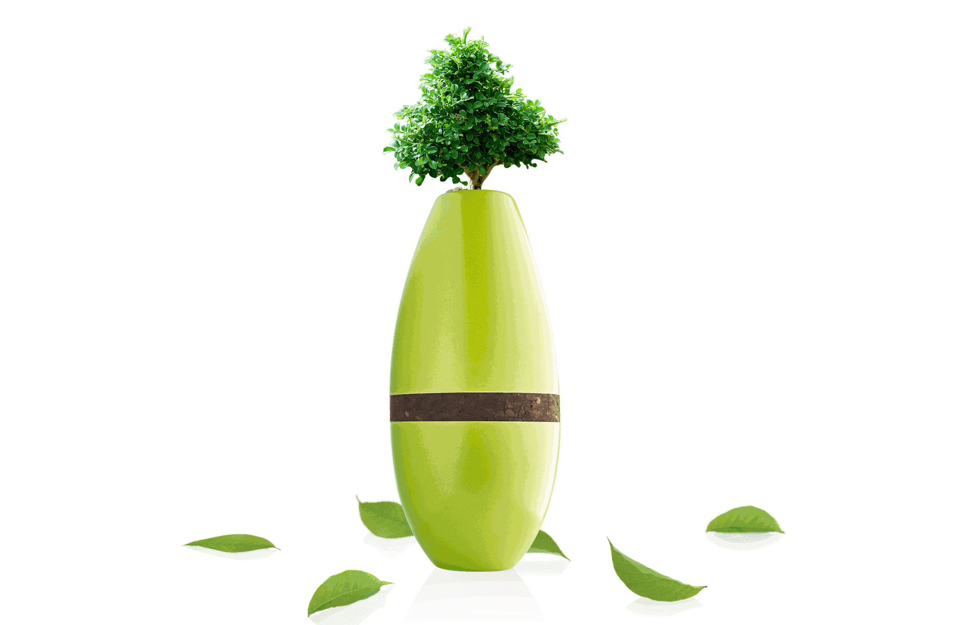 Biotree Urn | Passages International